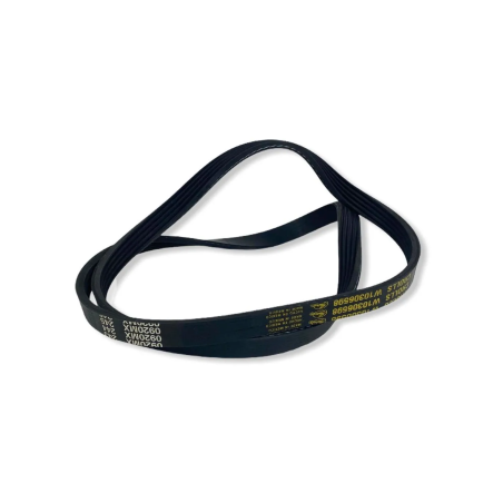 Banda 5 Hilos W10306598